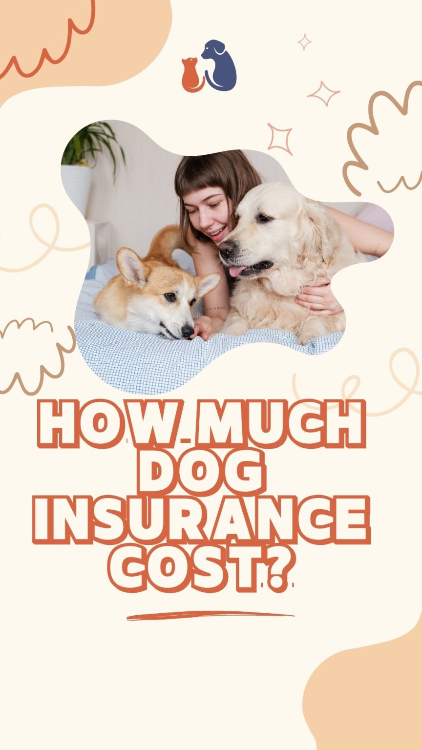 How much dog insurance cost? - Cuddlytails