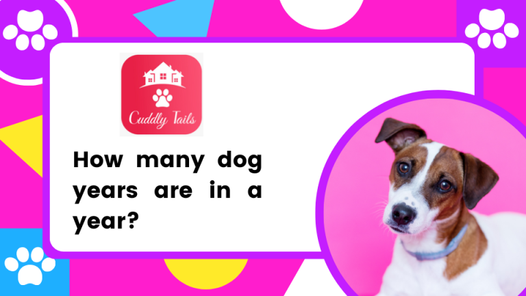 How many dog years are in a year? - Cuddlytails